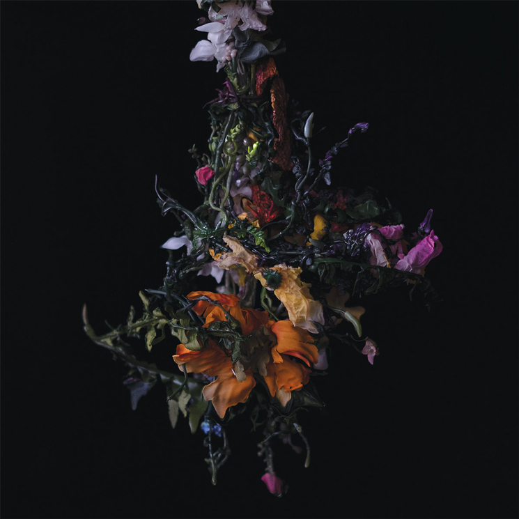 BIG|BRAVE Detail New Album 'nature morte' │ Exclaim!