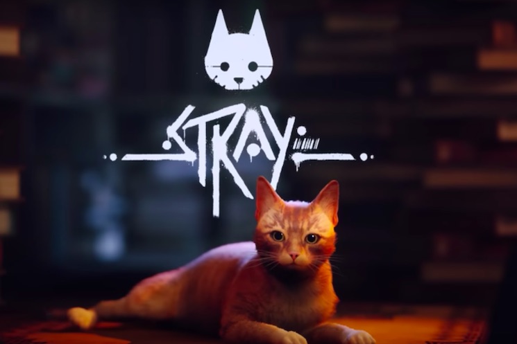 'Stray' Video Game Gets Film Adaptation │ Exclaim!