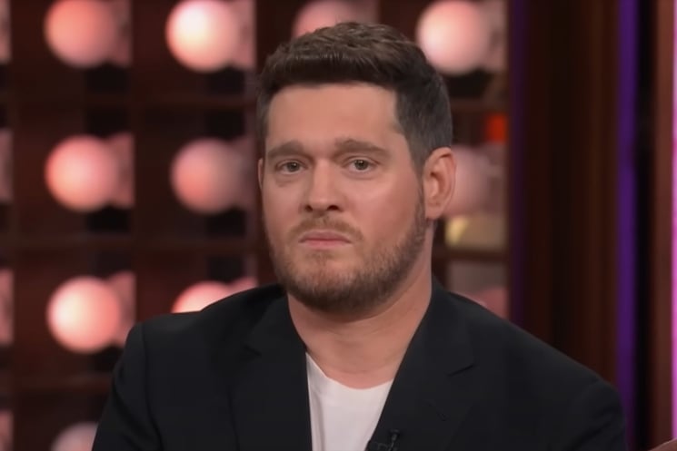 Michael Bublé Ran Toward Polar Bears While Drunk on the Beach in ...