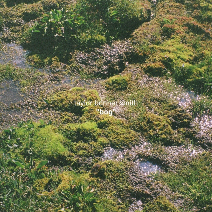 Braids' Taylor Bonner Smith Invites You to Sink Into 'Bog' │ Exclaim!