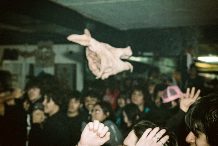 Metal Band Apologize for Throwing Severed Pig's Head at Concert │ Exclaim!