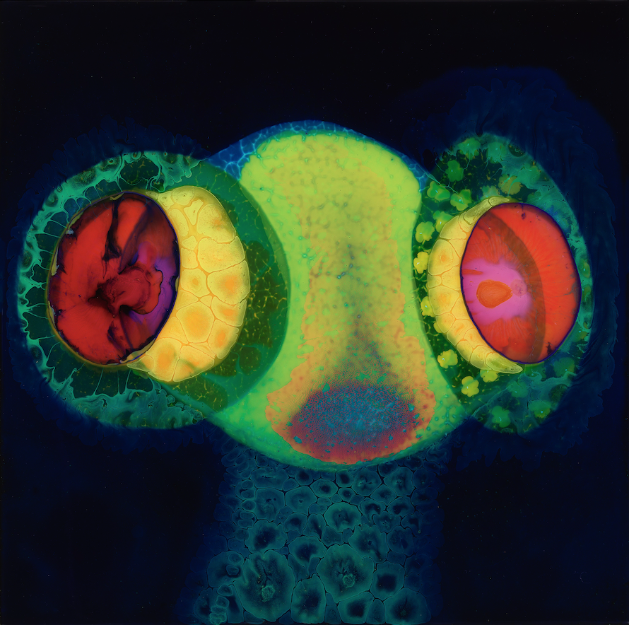 Osees Announce New Album 'SORCS 80,' Share Lead Single │ Exclaim!