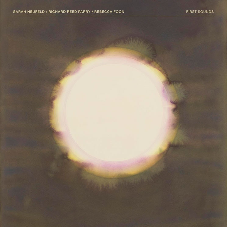 Sarah Neufeld, Richard Reed Parry and Rebecca Foon Announce Debut Album ...