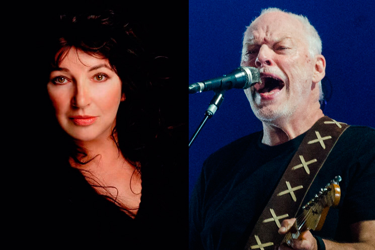 Pink Floyd's David Gilmour Has "Tried Persuading" Kate Bush to Perform ...