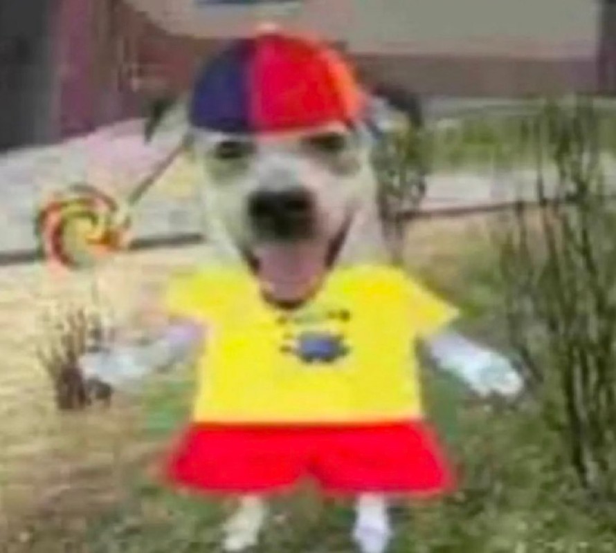 How It Feels Reading Exclaim!'s Funny Memes and Shitposts Roundup ...