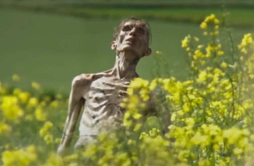 Check Out the Trailer for '28 Years Later' │ Exclaim!