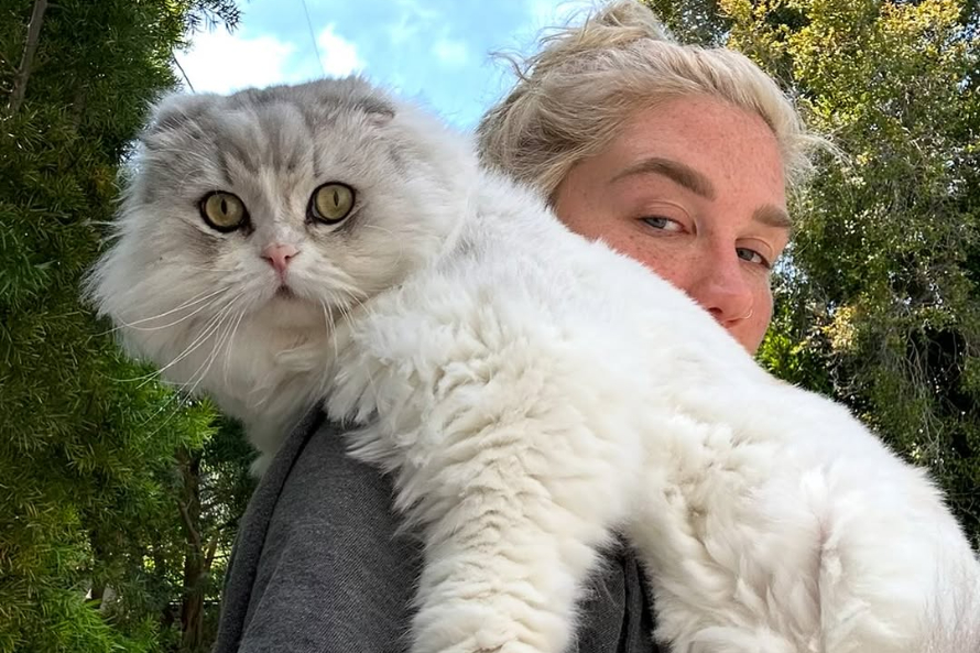 R.I.P. Carl, Kesha's Cat │ Exclaim!