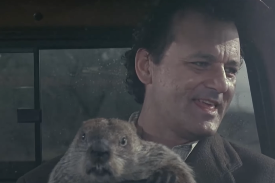 Bill Murray Still Has a Scar from the Groundhog in 'Groundhog Day' │ Exclaim!