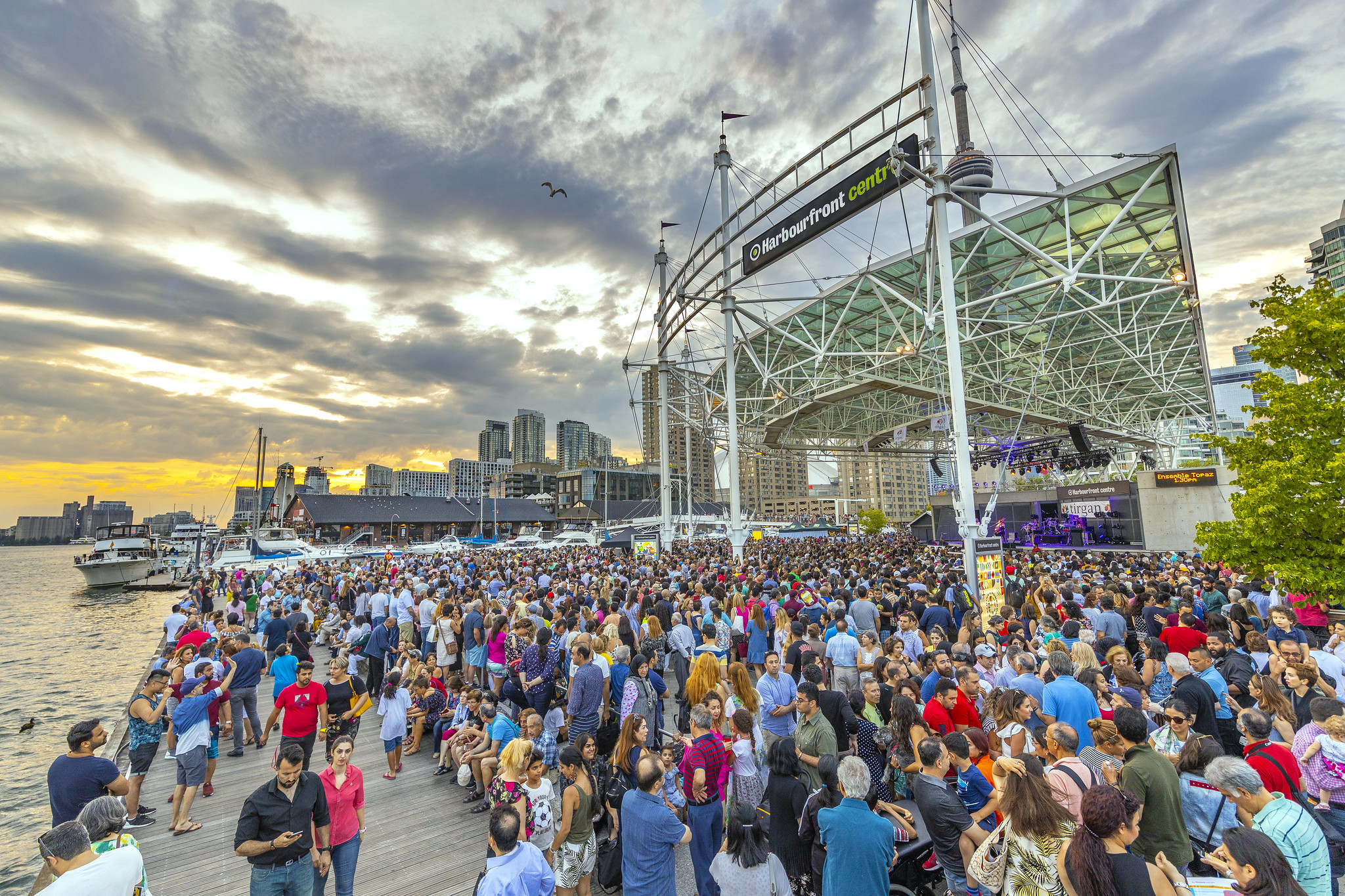 Toronto's Luminato Festival Announces 2025 Programming │ Exclaim!