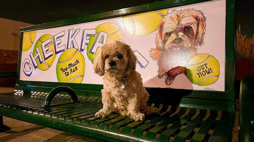 R.I.P. Stubbs, Cheekface's Mascott │ Exclaim!